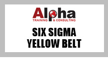 Six Sigma Yellow Belt (CSSYB) (ASQCSSYB)