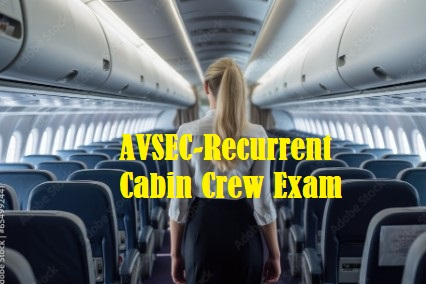AVSEC Exam 2025 CC RECURRENT (AVSEC CCM RC 2025)