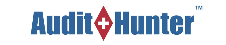 Audit-Hunter | You audit. We find.