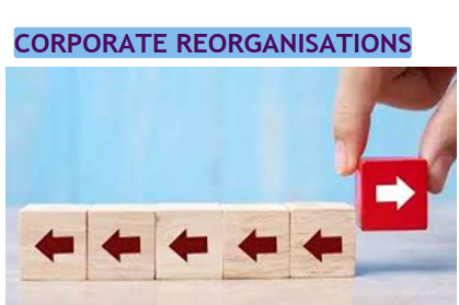 CORPORATE REORGANISATION
