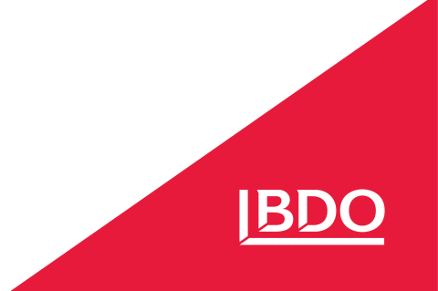 Introduction to the BDO Way for Group Audits