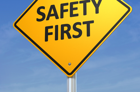 Safety Bite - Pedestrian Safety (SFT 410)