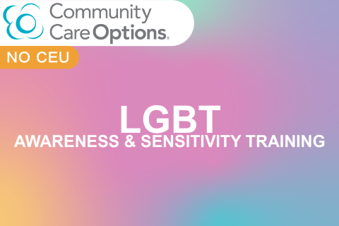 LGBT Awareness & Sensitivity Training (beta) (cna$-LGBT-001-beta)