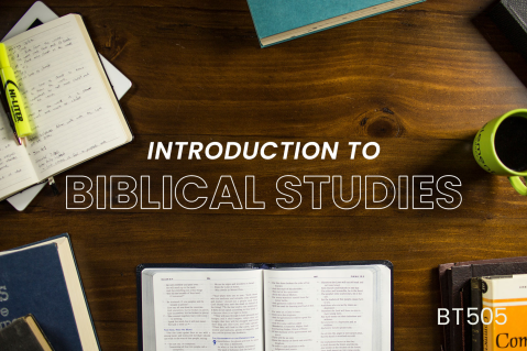 ProDev: Introduction to Biblical Studies - Dr. Duane Christensen (BT505PD)