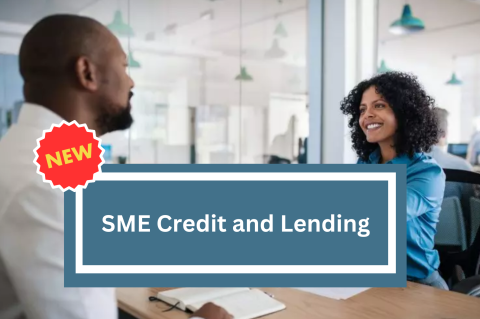 SME Credit & Lending