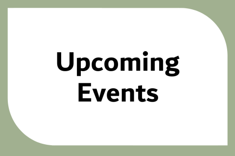 Thumbnail for course Damas Upcoming Events