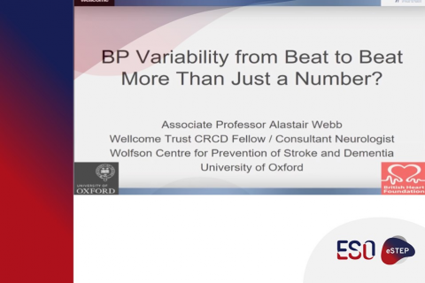 Beat-to-Beat Blood Pressure Variability