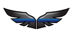 Blue Line Aviation
