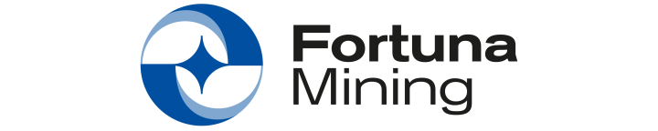 Catálogo de cursos - E-learning Fortuna Mining Perú