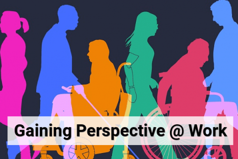 Gaining Perspective at Work