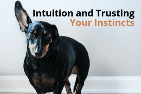Intuition and Trusting Your Instincts