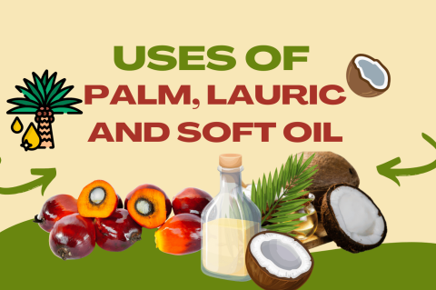 GROUP - USES OF PALM, LAURIC AND SOFT OIL (00232)