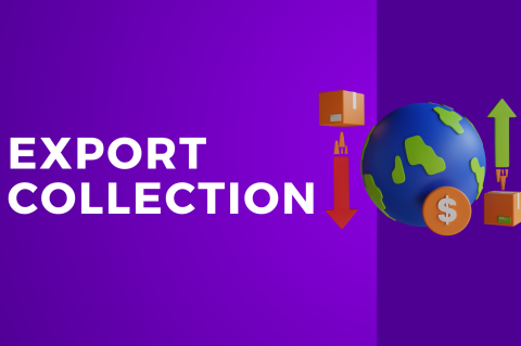 GROUP - INTRODUCTION TO EXPORT COLLECTION (00306)