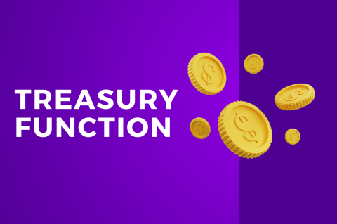 GROUP - INTRODUCTION OF TREASURY FUNCTION (00310)