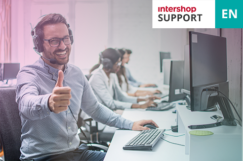 Setup Scenarios for Intershop Commerce Management (e000N)