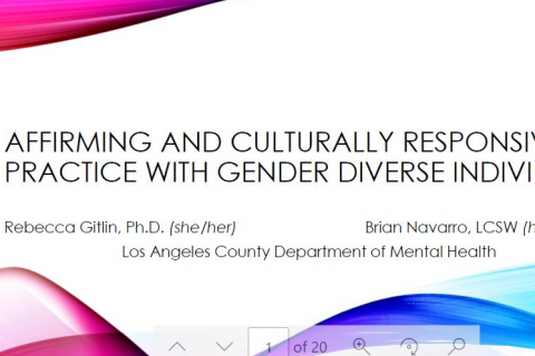 Affirming & Culturally Responsive Practice with Gender Diverse Individuals