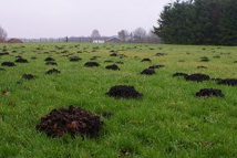 Courses - Land en Tuinbouw Cursussen