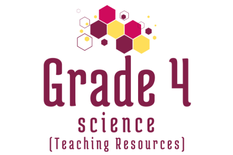 Grade 4 Science Teaching Resources