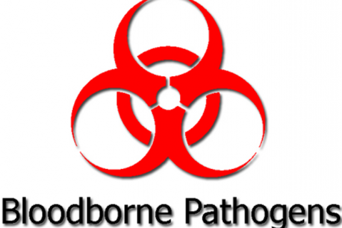 Bloodborne Pathogens
