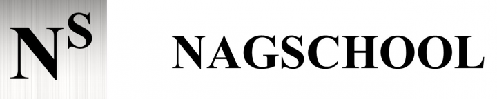 About us - NAGSCHOOL