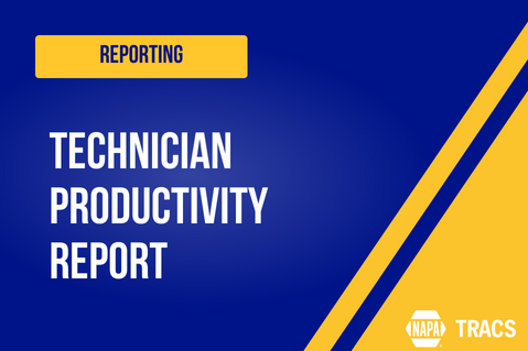 Technician Productivity Report (R-Basic.8)