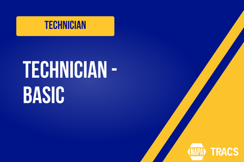 Technician - Basic