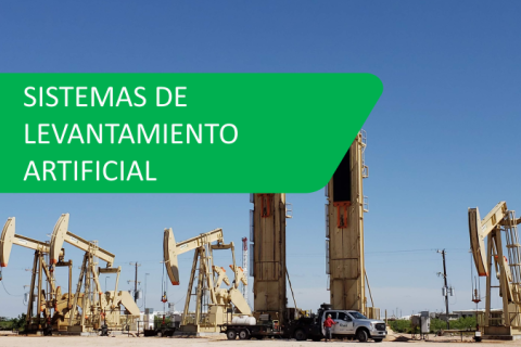 INTRODUCCIÓN A LOS SISTEMAS DE LEVANTAMIENTO ARTIFICIAL (FUN-003)