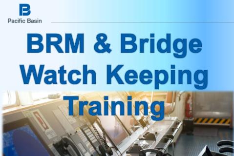 BRM & Bridge Watch Keeping Training cover image.