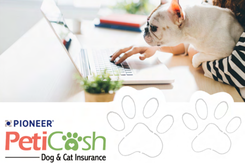 Pioneer PetiCash Dog and Cat Insurance