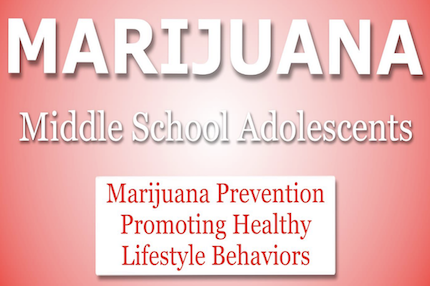 Prevention Plus Wellness Online Training