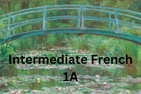 French Language Training