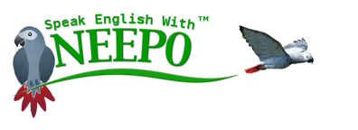 Course - Speak English With NEEPO
