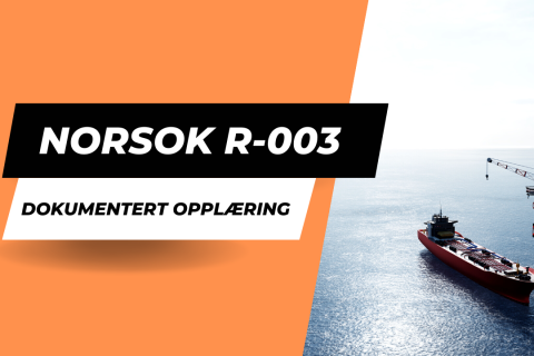 NORSOK R-003