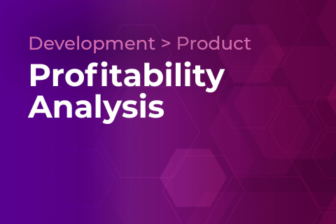 Profitability Analysis