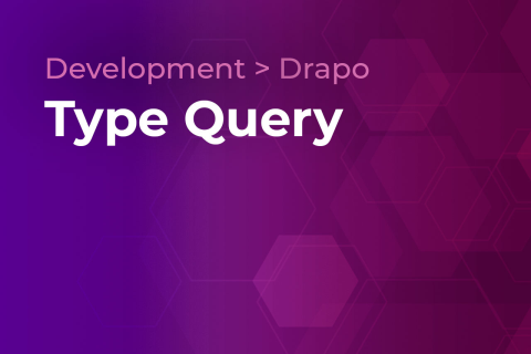 Type Query