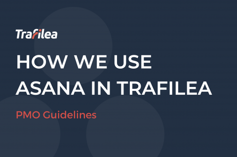 How we Use Asana in Trafilea