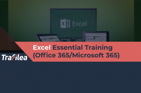 Excel Essential Training (Office 365/Microsoft 365)