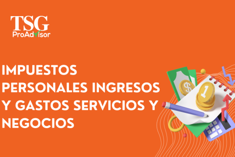 IMPUESTOS PERSONALES INGRESOS Y GASTOS SERVICIOS Y NEGOCIOS cover image.