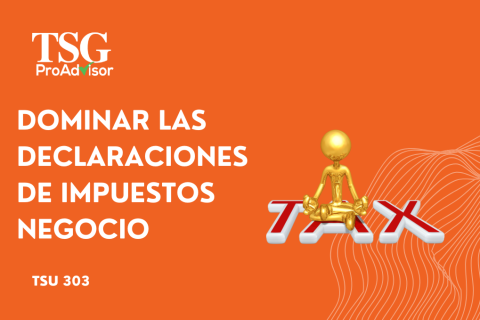 Miniatura del curso DOMINAR LAS DECLARACIONES DE IMPUESTOS DE NEGOCIOS