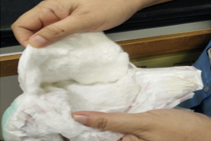 QAC (1) - Baby Open Destructive Test Introduction