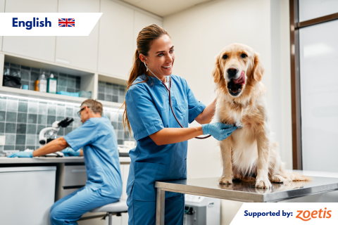 Thumbnail for course WSAVA Certificate in Pain Management - Module III (Starts July 2025)